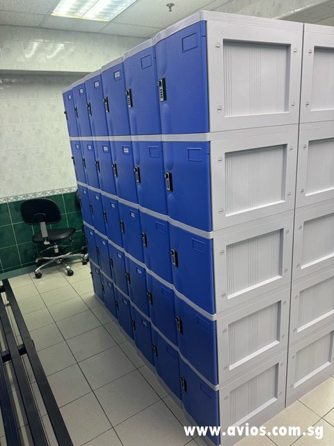 Molex Lockers Singapore - Avios