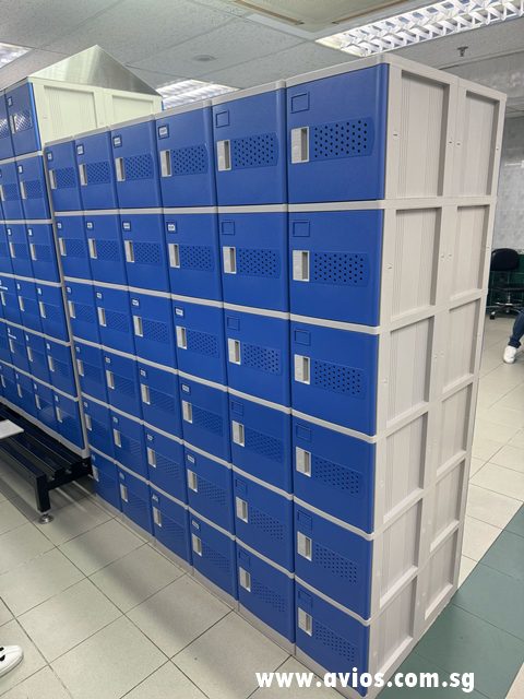 Molex Lockers Singapore - Avios